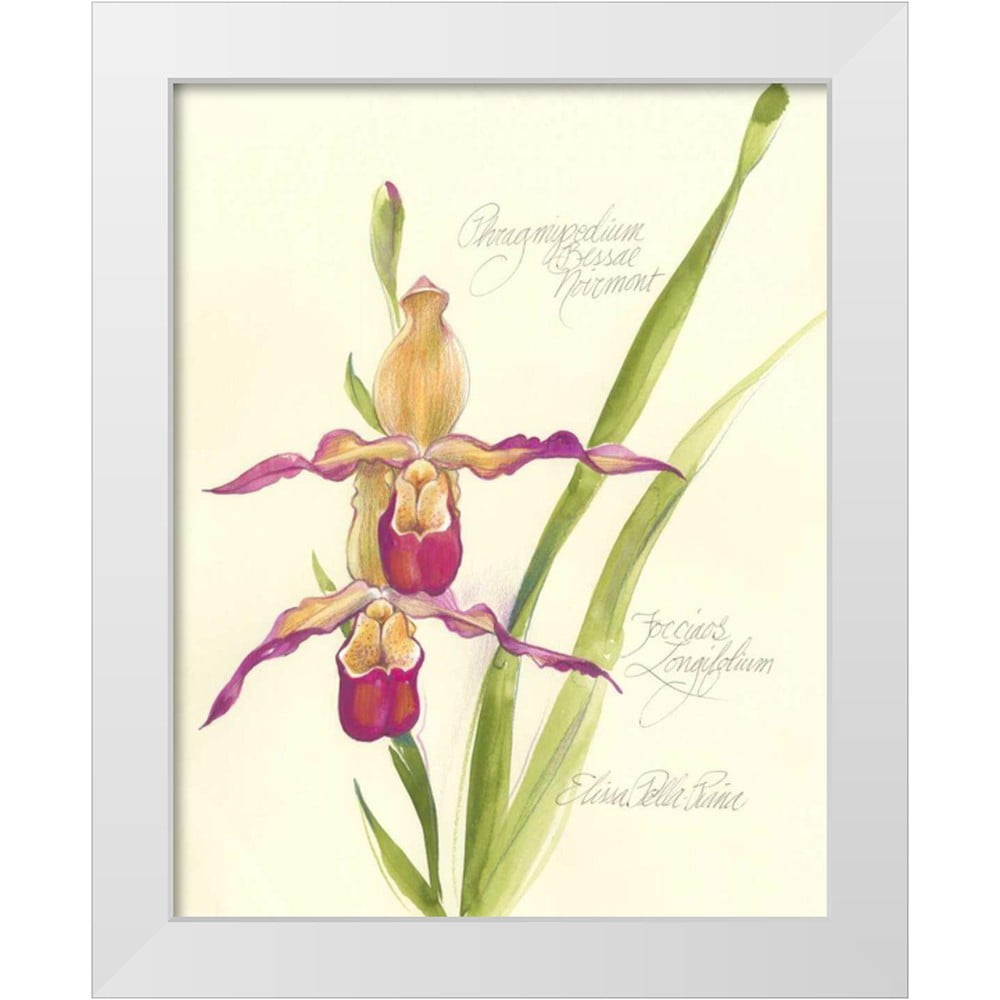 Della-Piana, Elissa 26x32 White Modern Wood Framed Museum Art Print ...