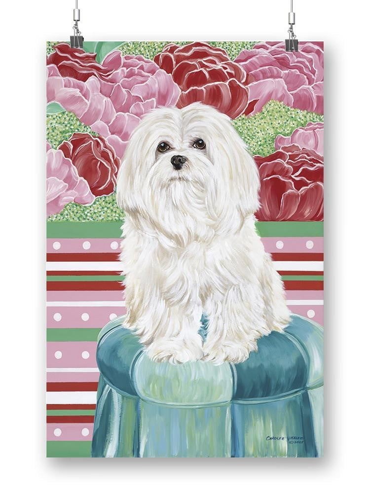 Della Rose Maltese Poster - Carolee Vitaletti Designs, - Walmart.com