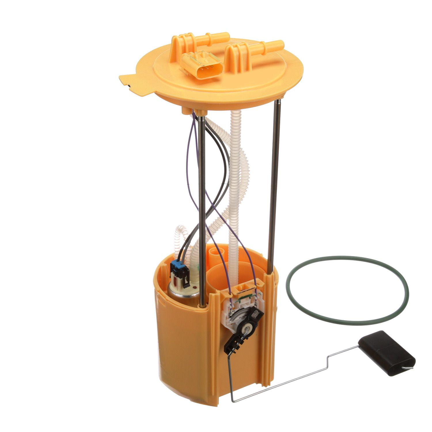Free Shipping! Delphi Fuel Pump Module Assembly for 2019 RAM 1500 ...