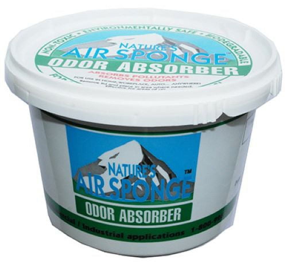 Delta 101-2 1 LB Nature's Air Sponge Odor Absorber - Quantity of 4 ...