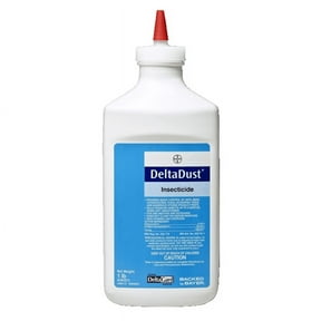 7 Dust Powder