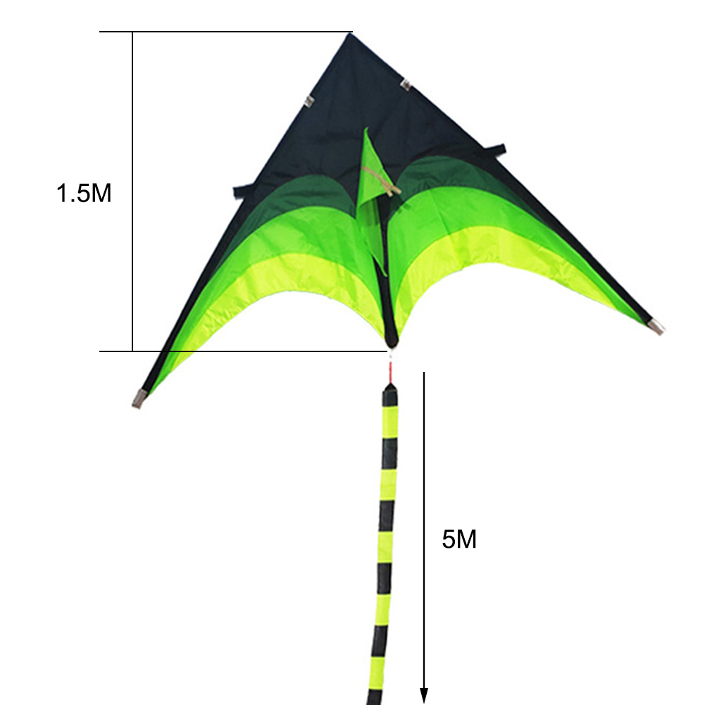 Delta Kite 1.6m Easy to Fly Portable Classic Triangle Kite for Adult ...