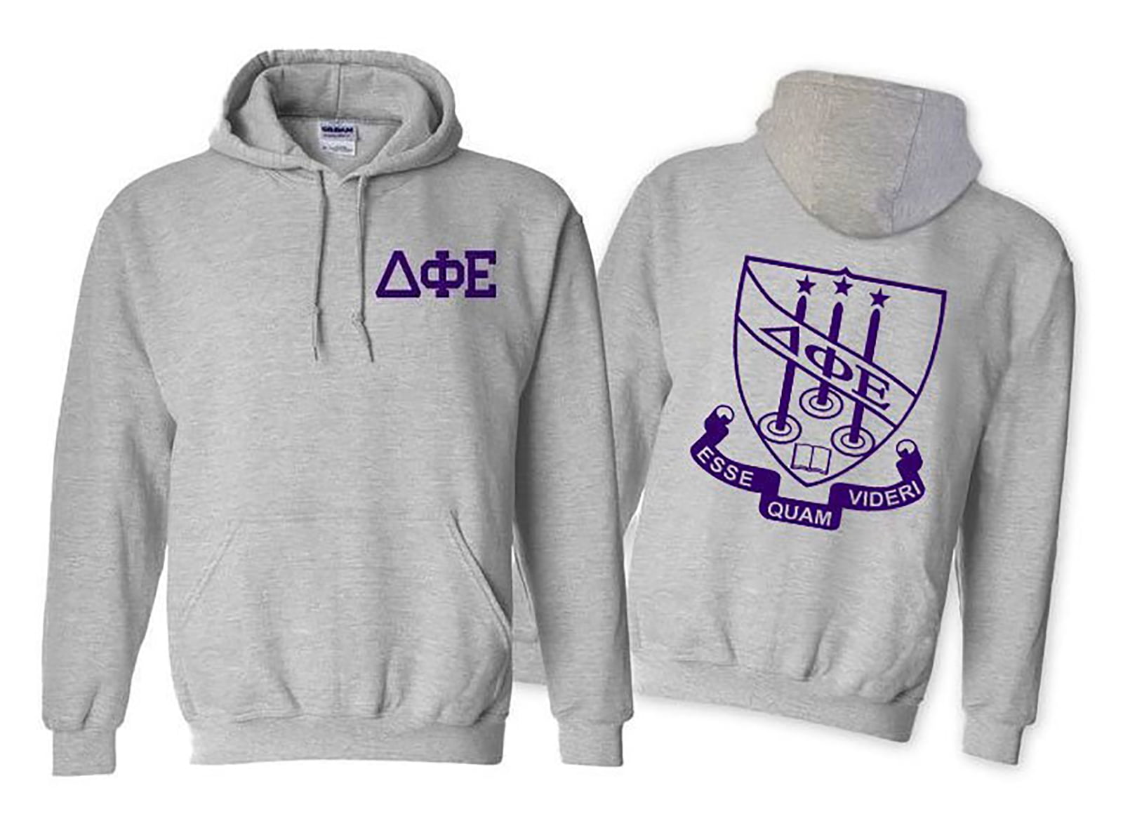 Delta Phi Epsilon World Famous Crest Hooded Sweatshirt - Walmart.com