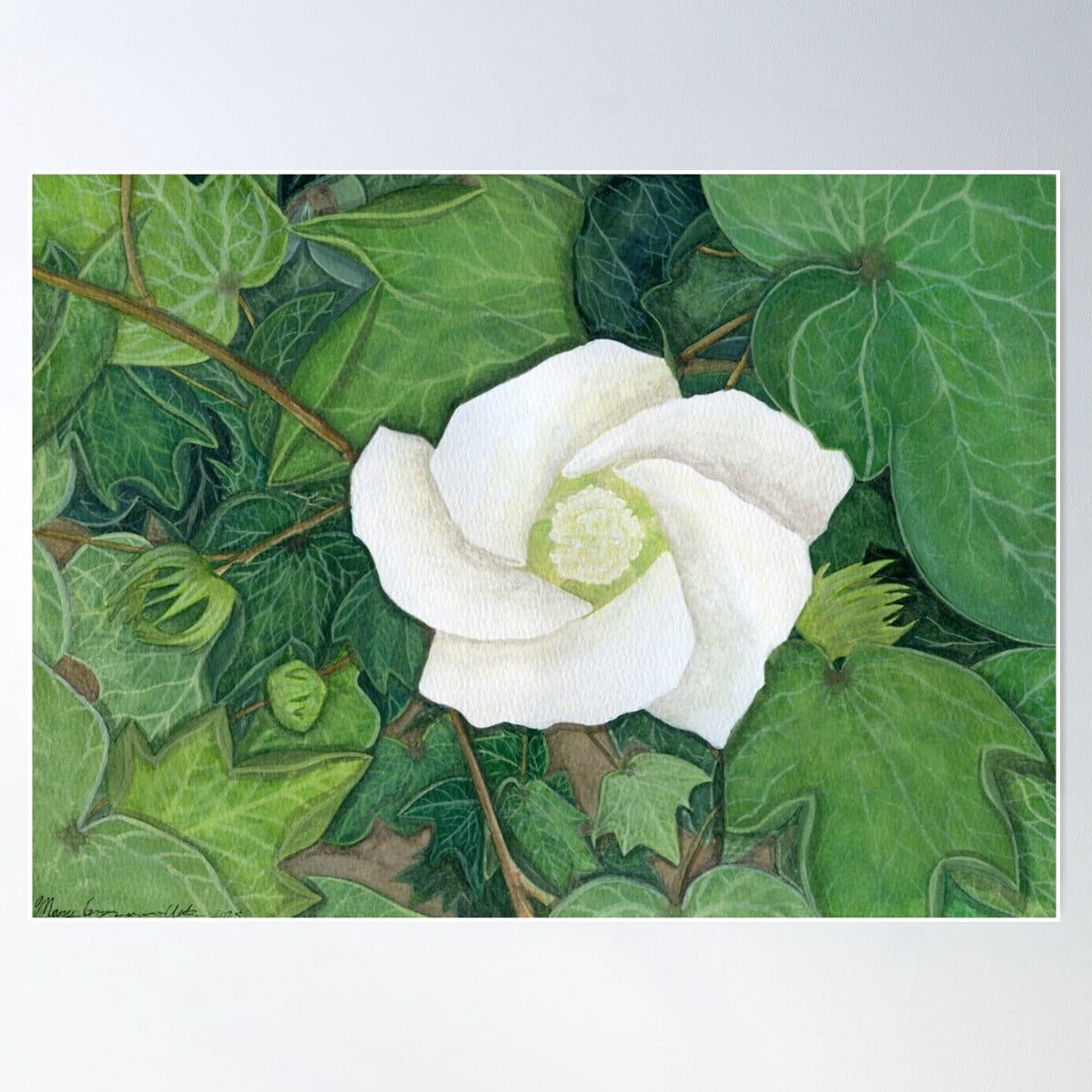Delta Rose Poster Wall Art, Modern Wall Decor For Living Room Bedroom ...