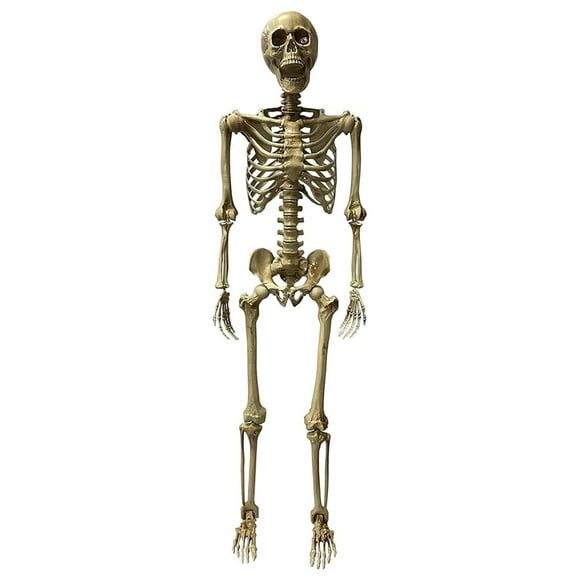 12 Foot Skeleton