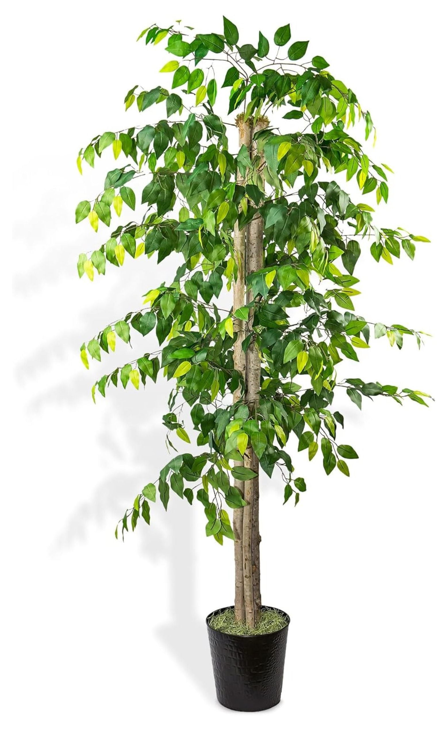 Deluxe 6FT Artificial Ficus Tree in Black Metal Pot – Natural Wood ...