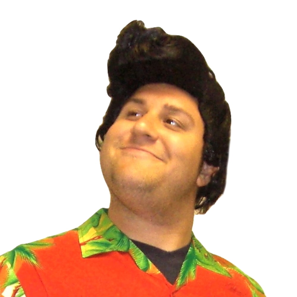 Deluxe Ace Ventura Pet Detective Mens Wig - Walmart.com