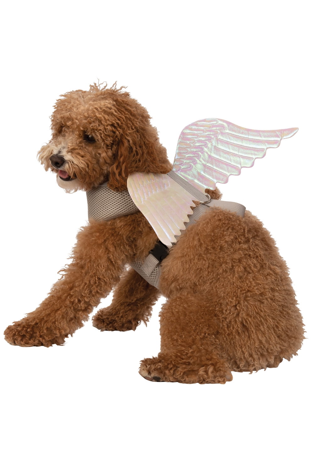 Deluxe Angel Wings Harness Pet Costume - Walmart.com