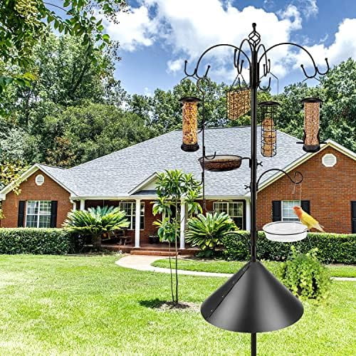 Deluxe Bird Feeding Station Kit Bird Feeder Pole with Squirrel Baffle ...