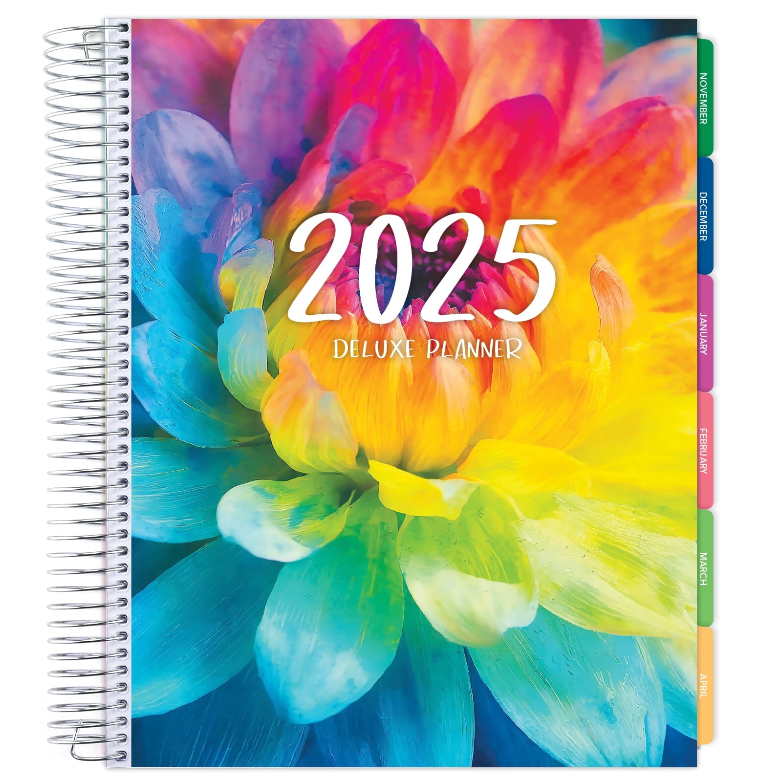 DELUXE 2025 Planner, 8.5"x11": 14 Months (November 2024 - December 2025 ...