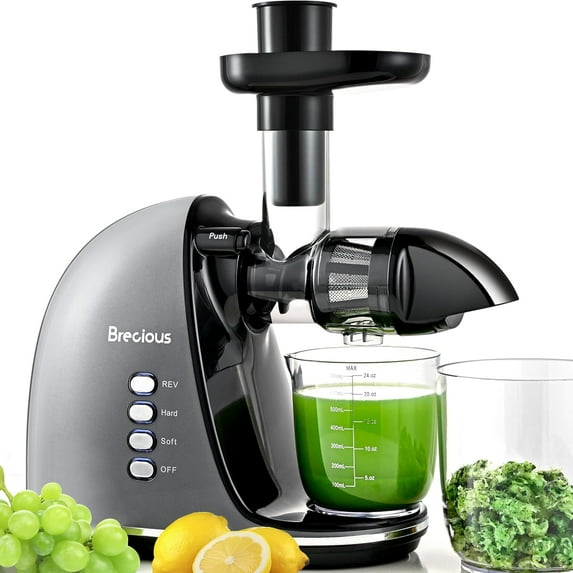 Deluxe Compact Masticating Slow Juicer, Easy to Clean Cold Press Juicer ...