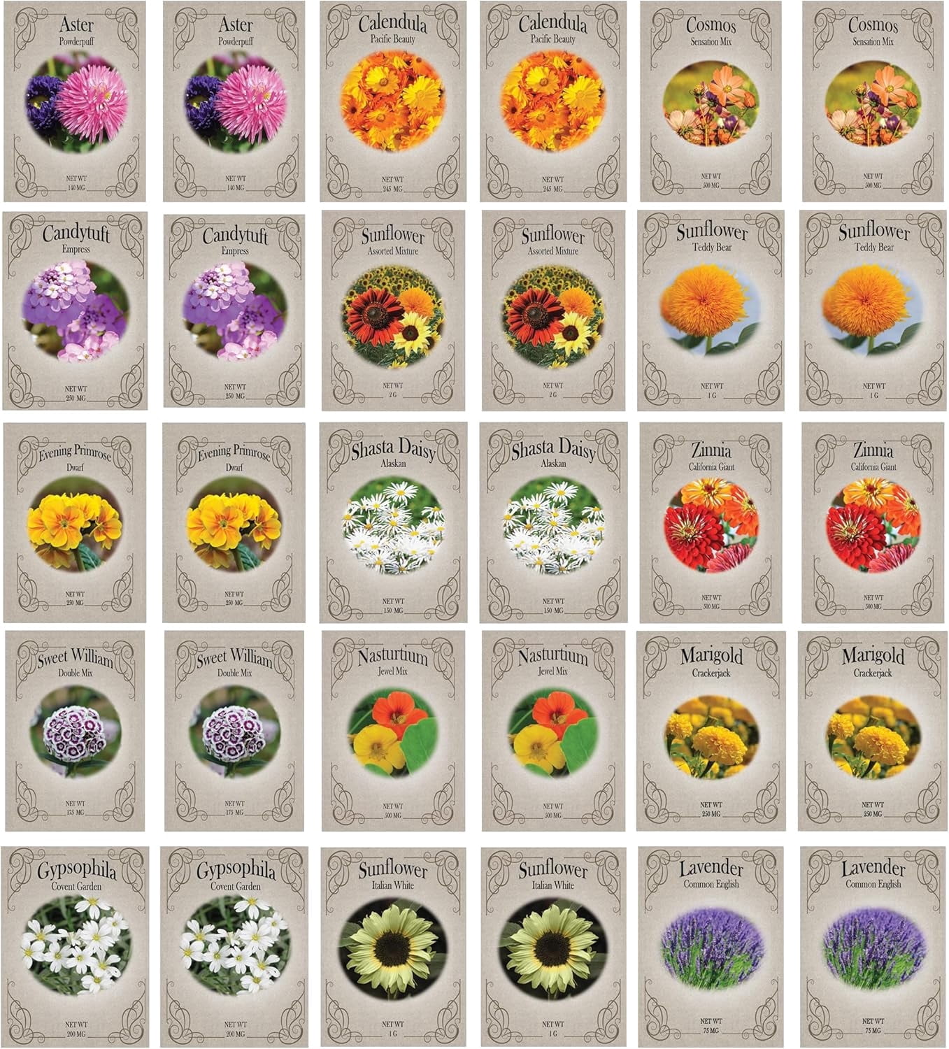 Deluxe Flower Garden Seed Variety Pack – 30 Seed Packets | Sunflower ...