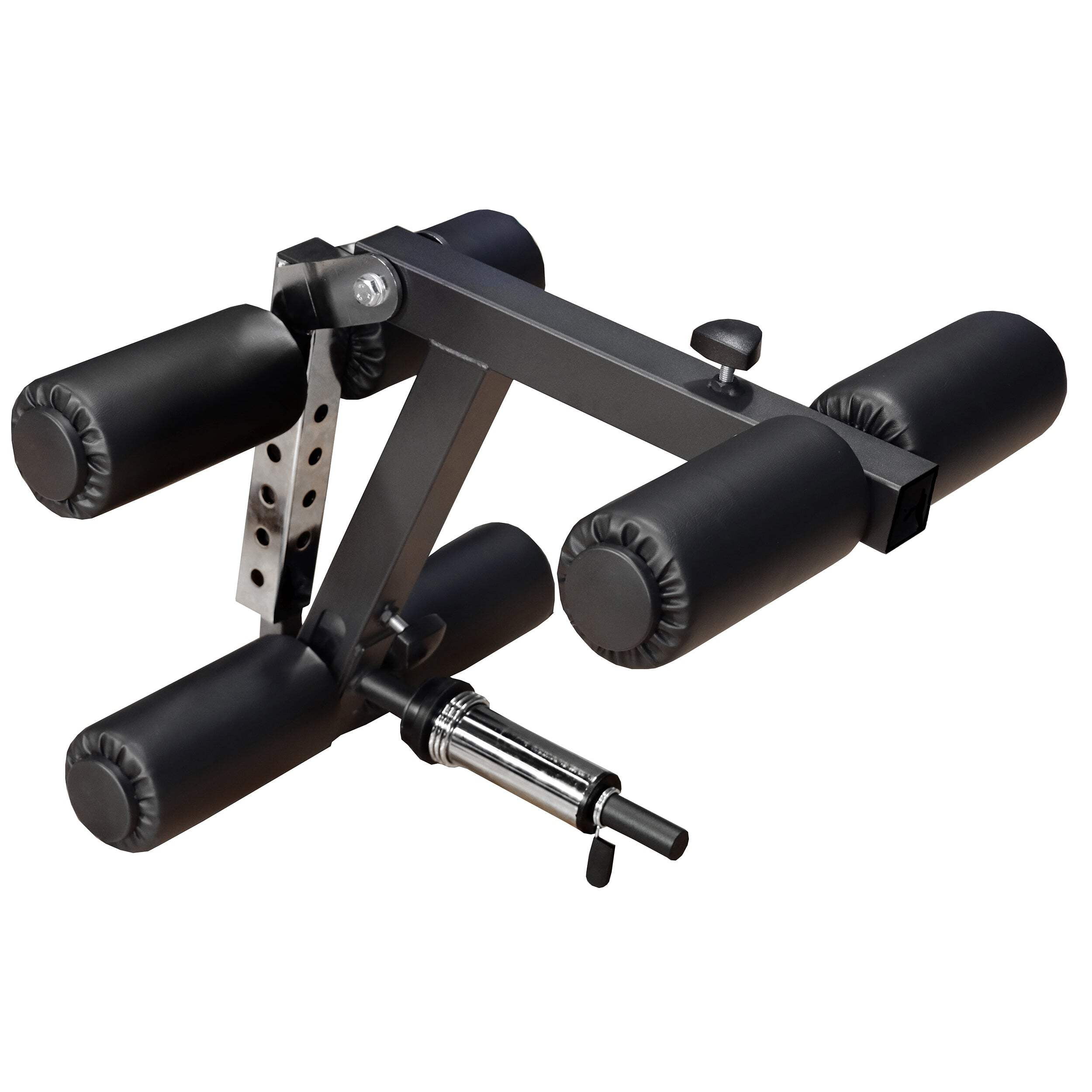 Deltech Fitness Deluxe Leg Developer Lifting Machine for Standard ...