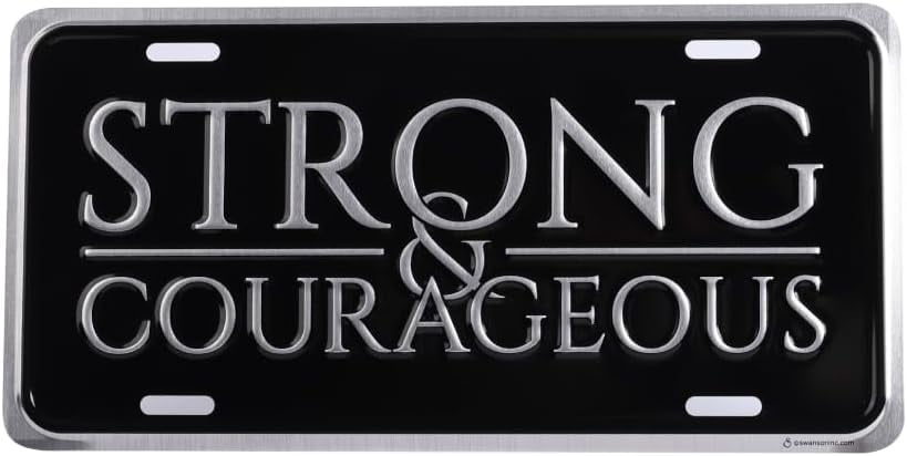 Deluxe License Plate | Inspirational Universal Car License Plate-Auto ...
