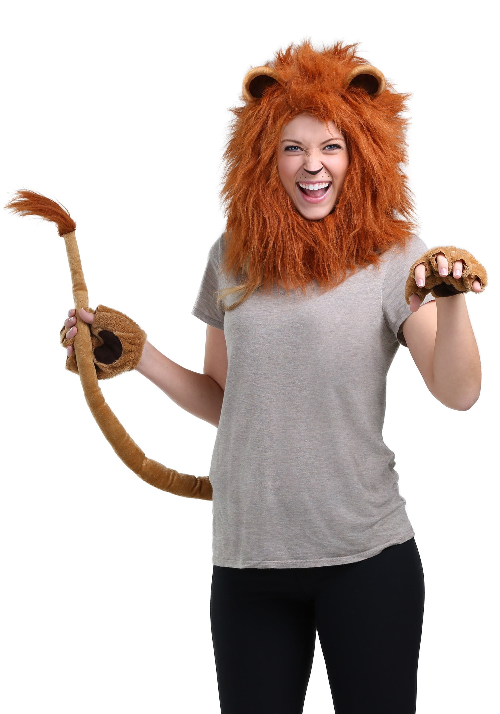 Deluxe Lion Kit - Walmart.com
