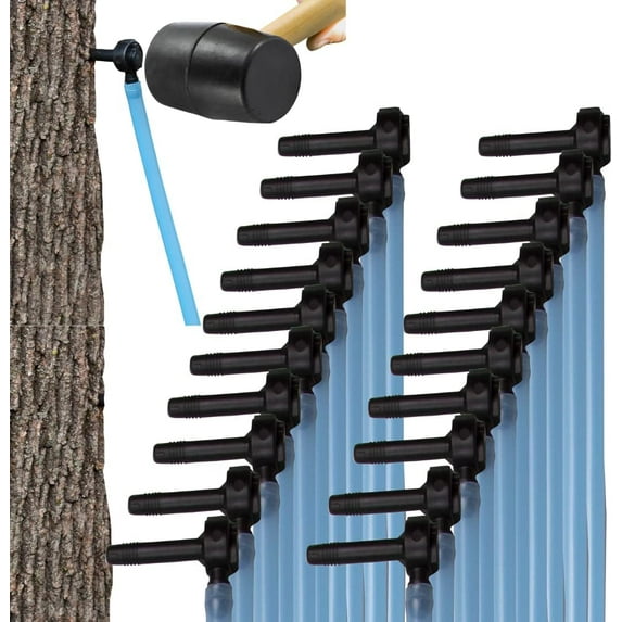SCS Direct Deluxe Maple Syrup Tree Tapping Kit, 20 Taps, 20 Food Grade ...