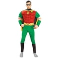 Deluxe Halloween Superhero Muscle Chest Robin Adult Costume - Walmart.com