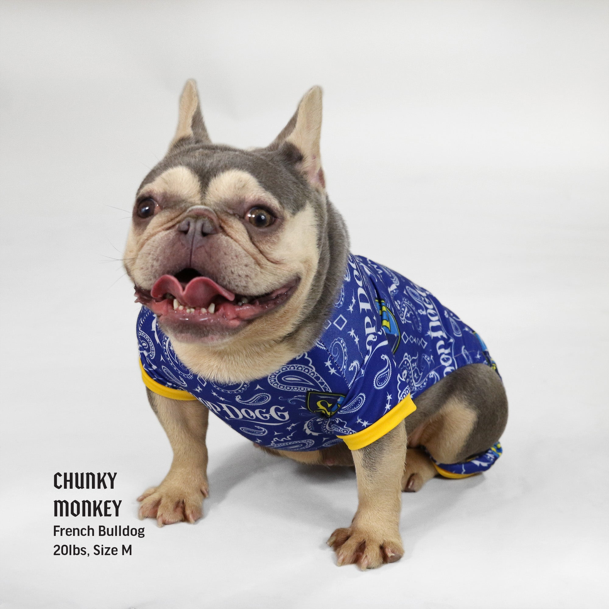 Deluxe Pet PJs Halftime - Walmart.com
