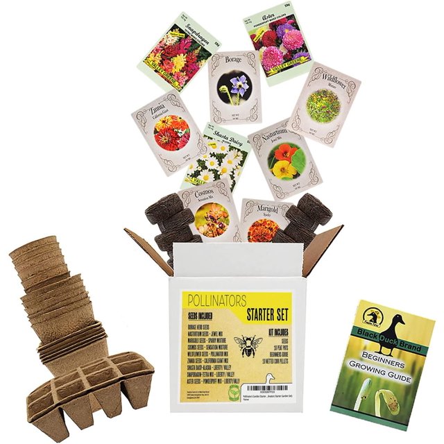 Deluxe Pollinators Garden Starter Kit - Includes: Seeds, Peat Pots ...