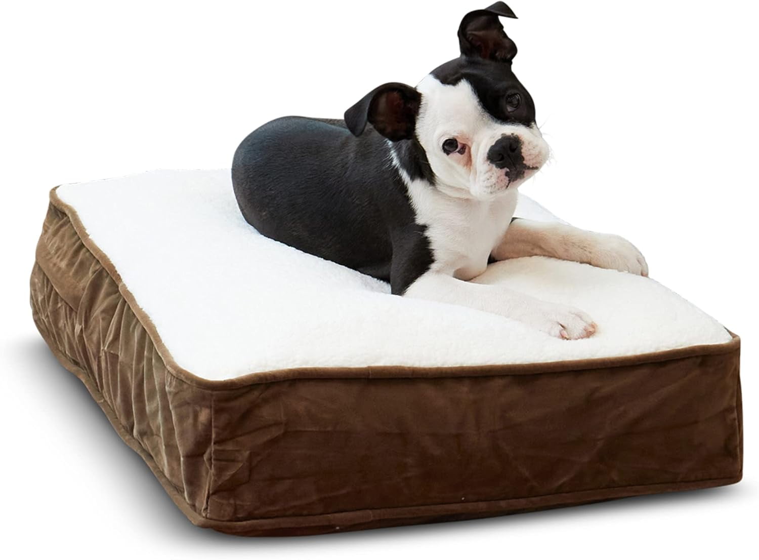 Deluxe Reversible Sherpa Dog Bed with Pillow, Mocha Color, Extra Small ...