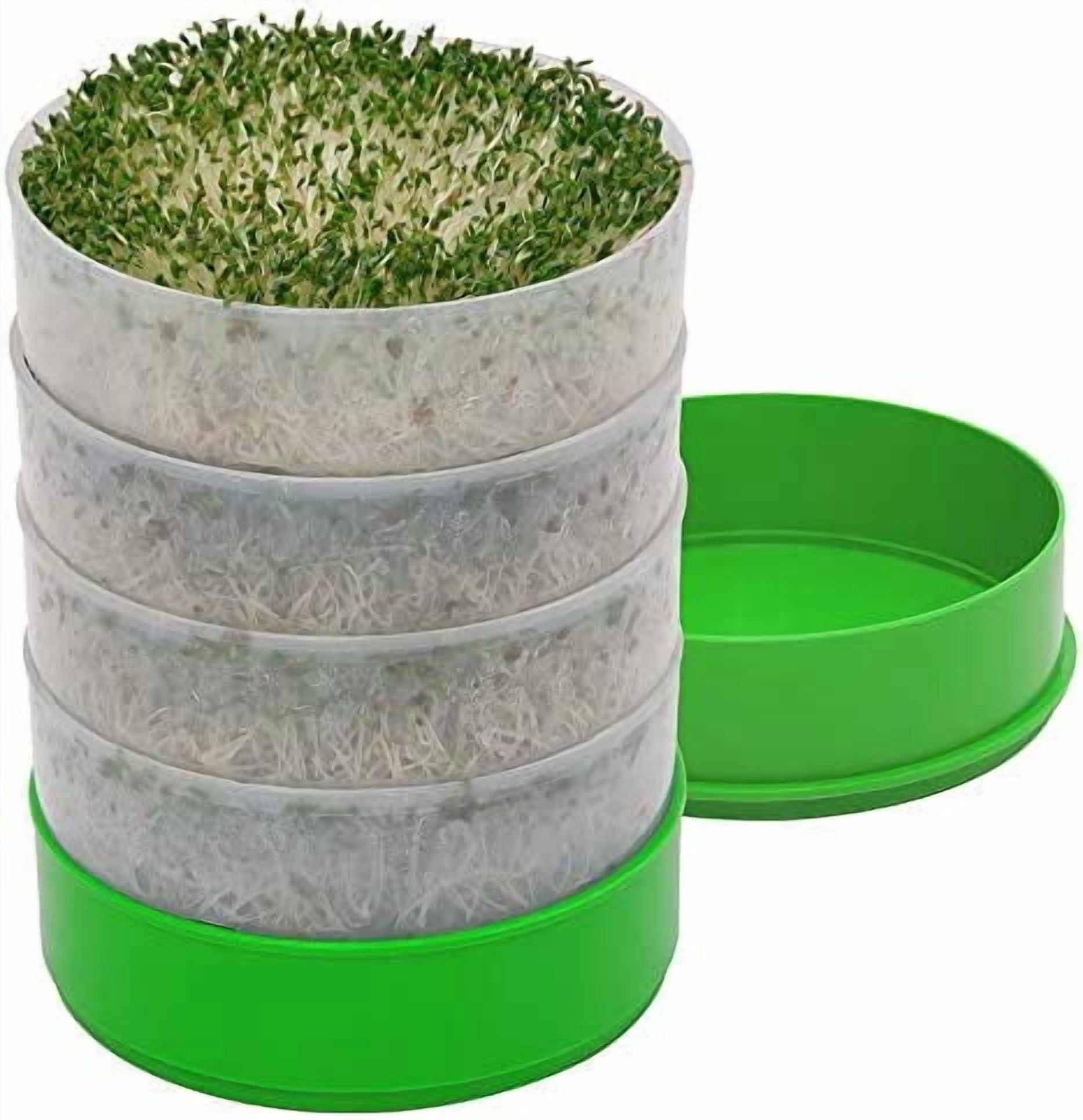 Deluxe Seed Sprouter with 4 Growing Trays and 1 Seed Packets, (Alfalfa ...