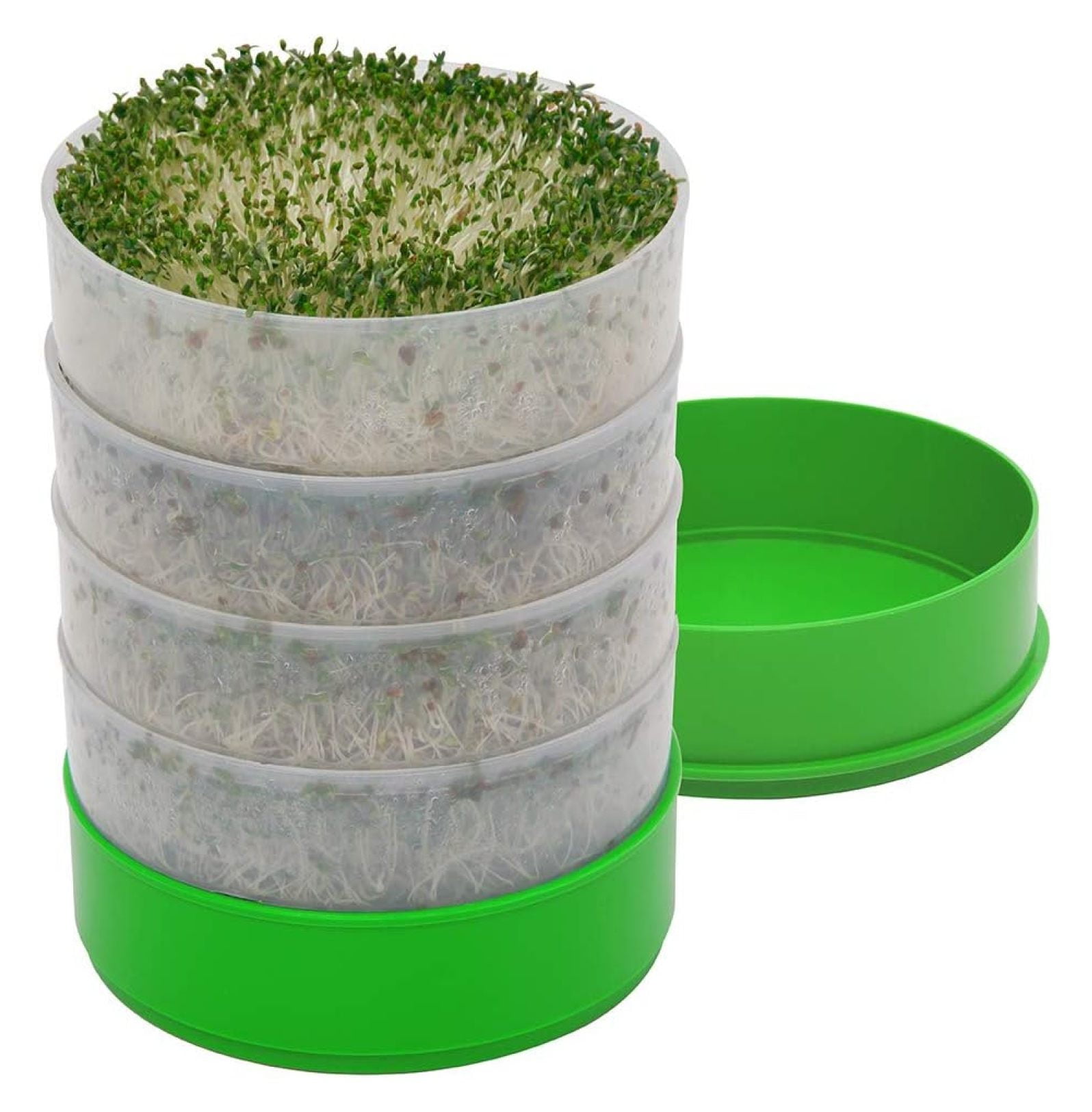 Deluxe Seed Sprouter with 4 Growing Trays and 1 Seed Packets, (Alfalfa ...