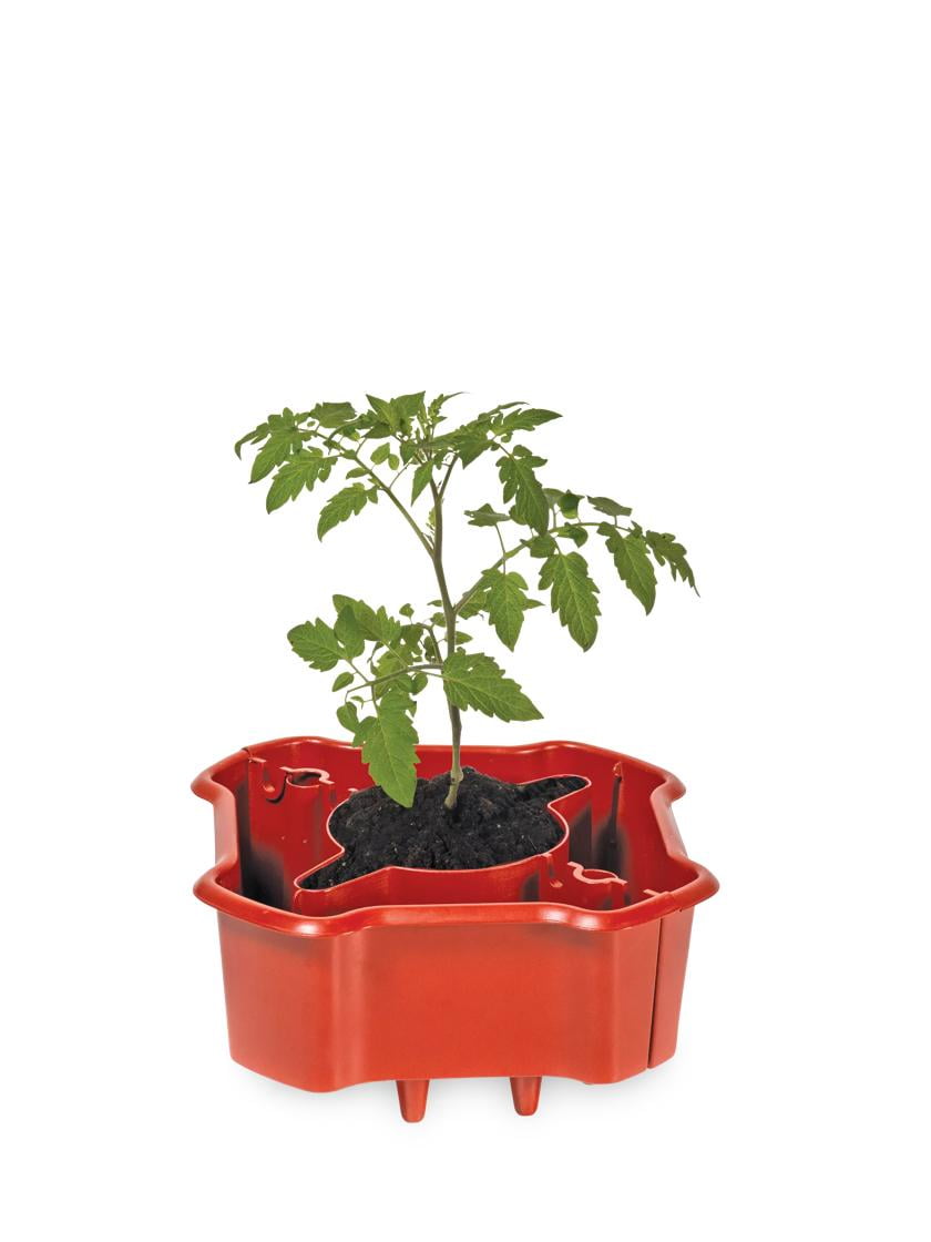 Deluxe Tomato Halos Set of 2 - Walmart.com