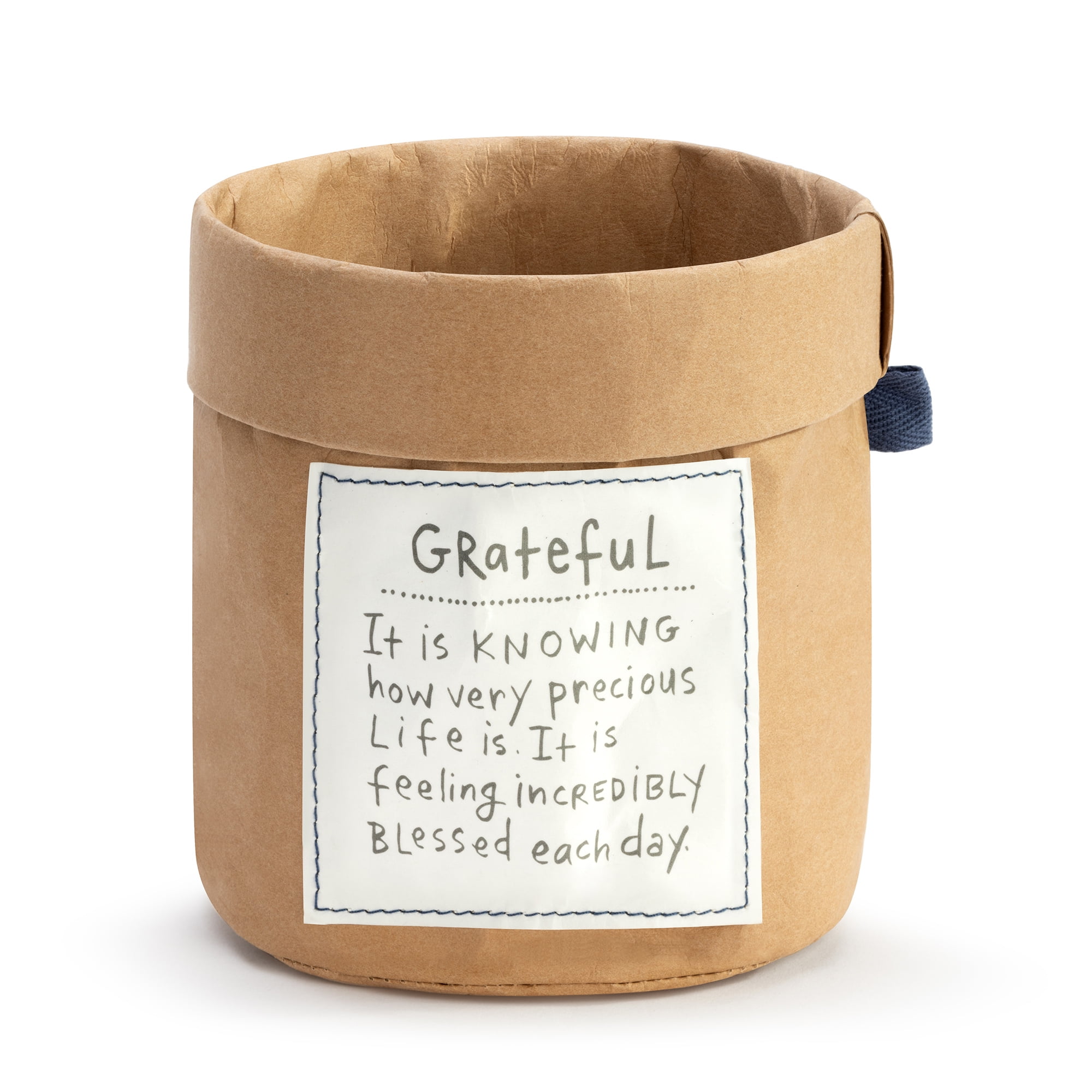 Demdaco Grateful Natural Brown 6 x 5.5 Paper Plant Kindness Planter Bag ...
