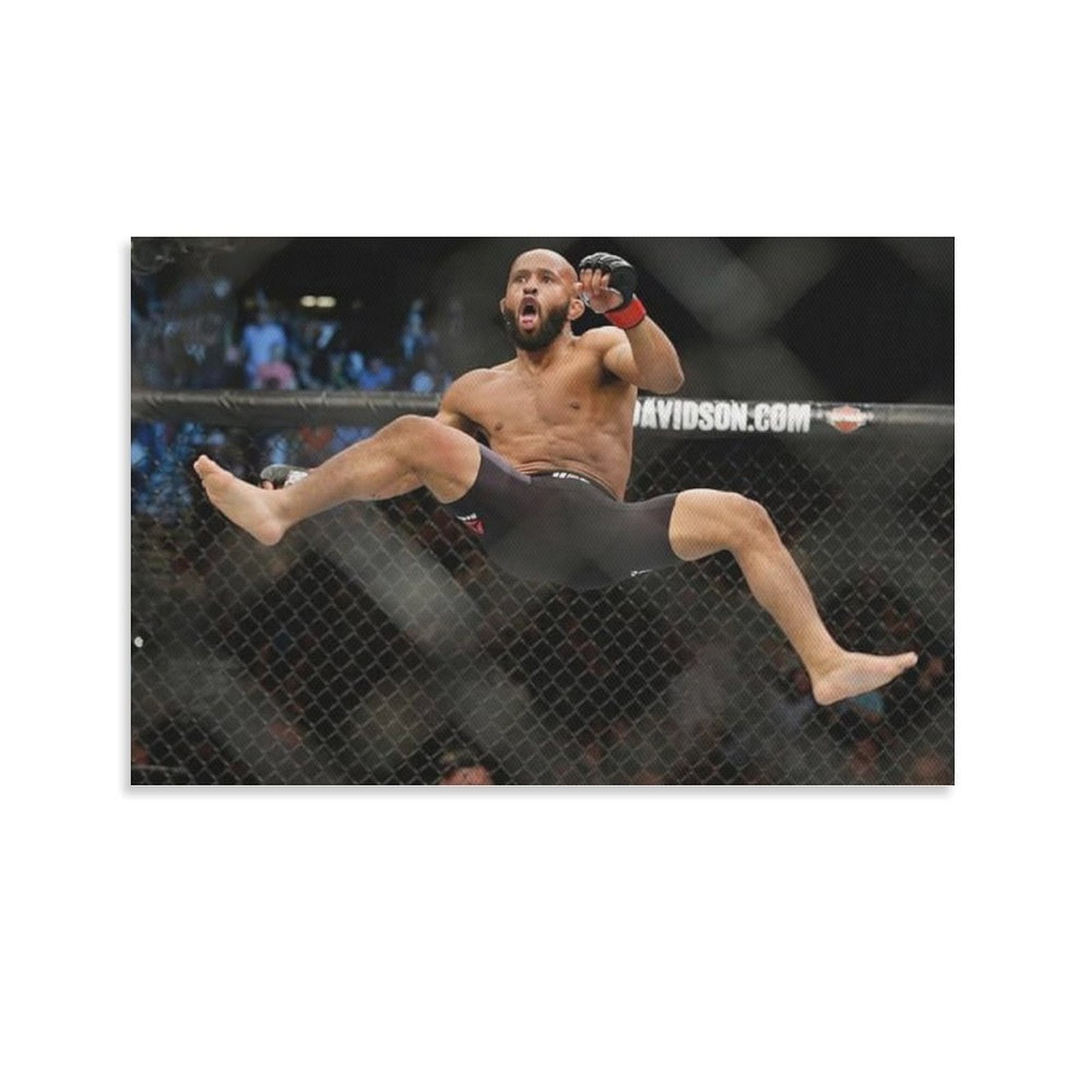 Demetrius Johnson Athlete Boxing Poster Art Poster Canvas Painting ...