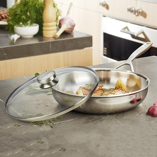 Demeyere 5-Plus Stainless Steel 11-inch Fry Pan with Glass Lid ...
