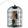 Demi Bonn 10" Outside Bird Feeder, Metal Seed Guard Deterrent, Hanging ...