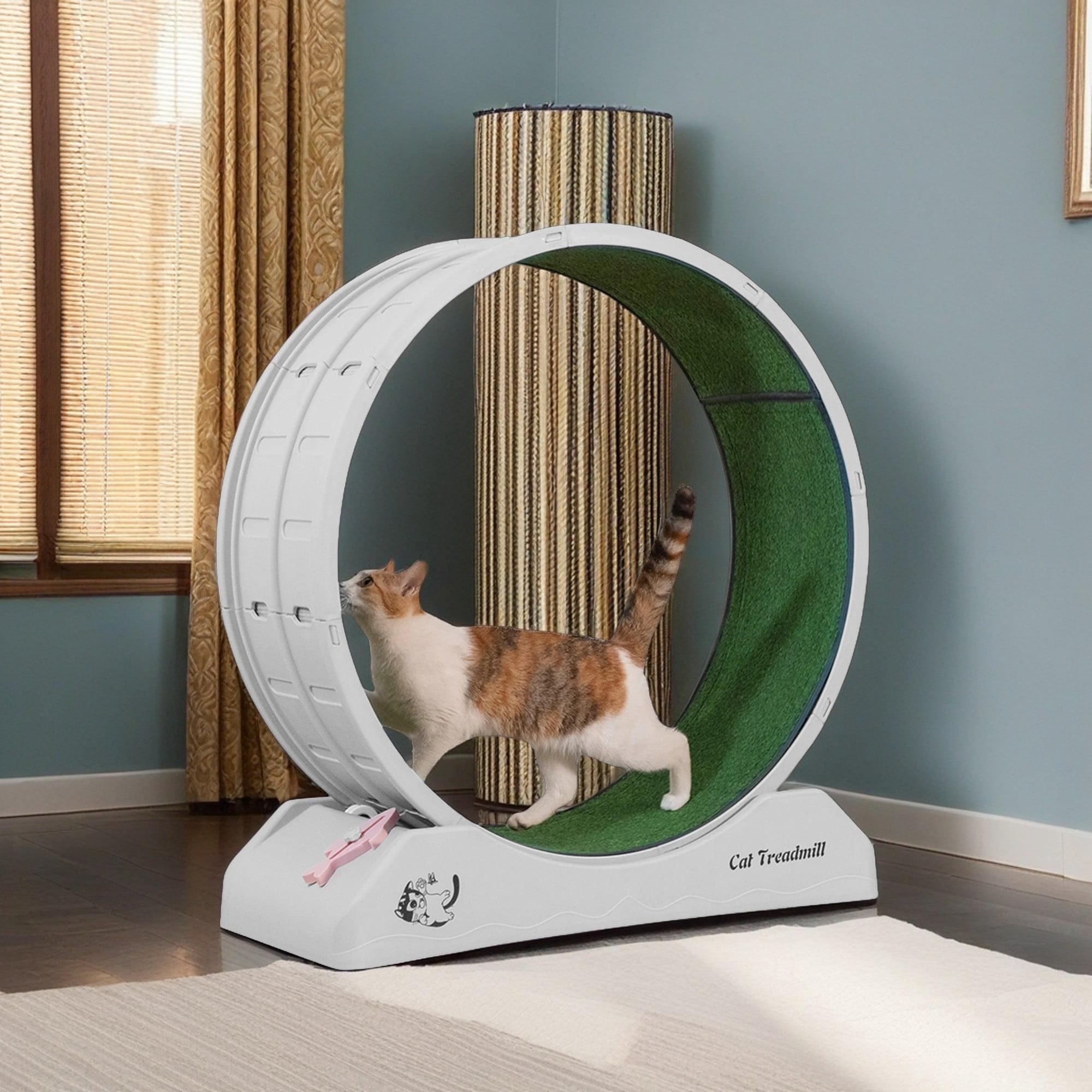 Demi Bonn 31" Cat Exercise Wheel for Indoor Cats, Large Cat Running ...