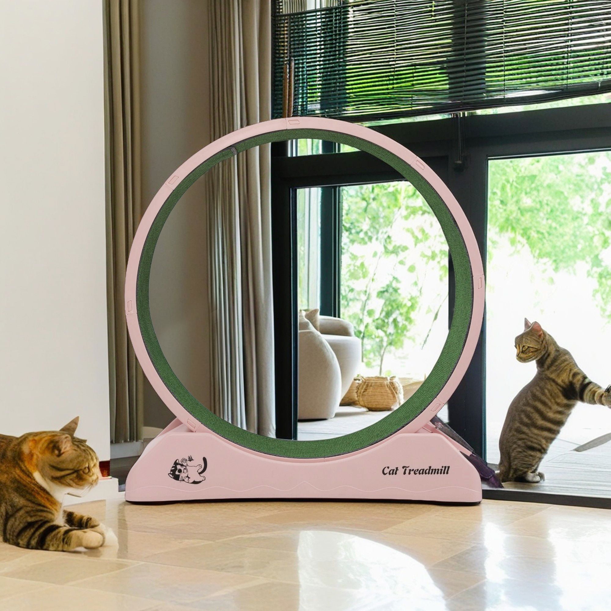 Demi Bonn 31" Cat Exercise Wheel for Indoor Cats, Large Cat Running ...