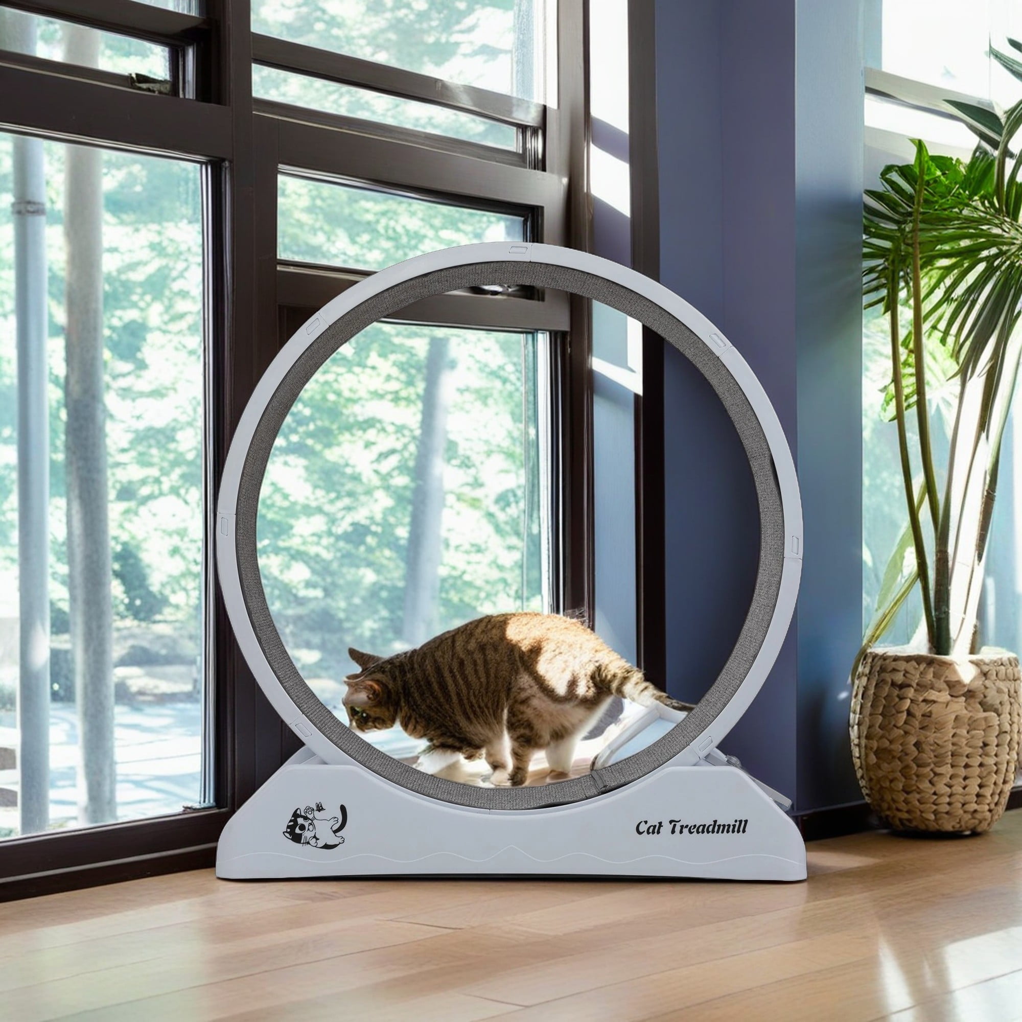 Demi Bonn 31" Cat Exercise Wheel for Indoor Cats, Cat Running Wheel ...