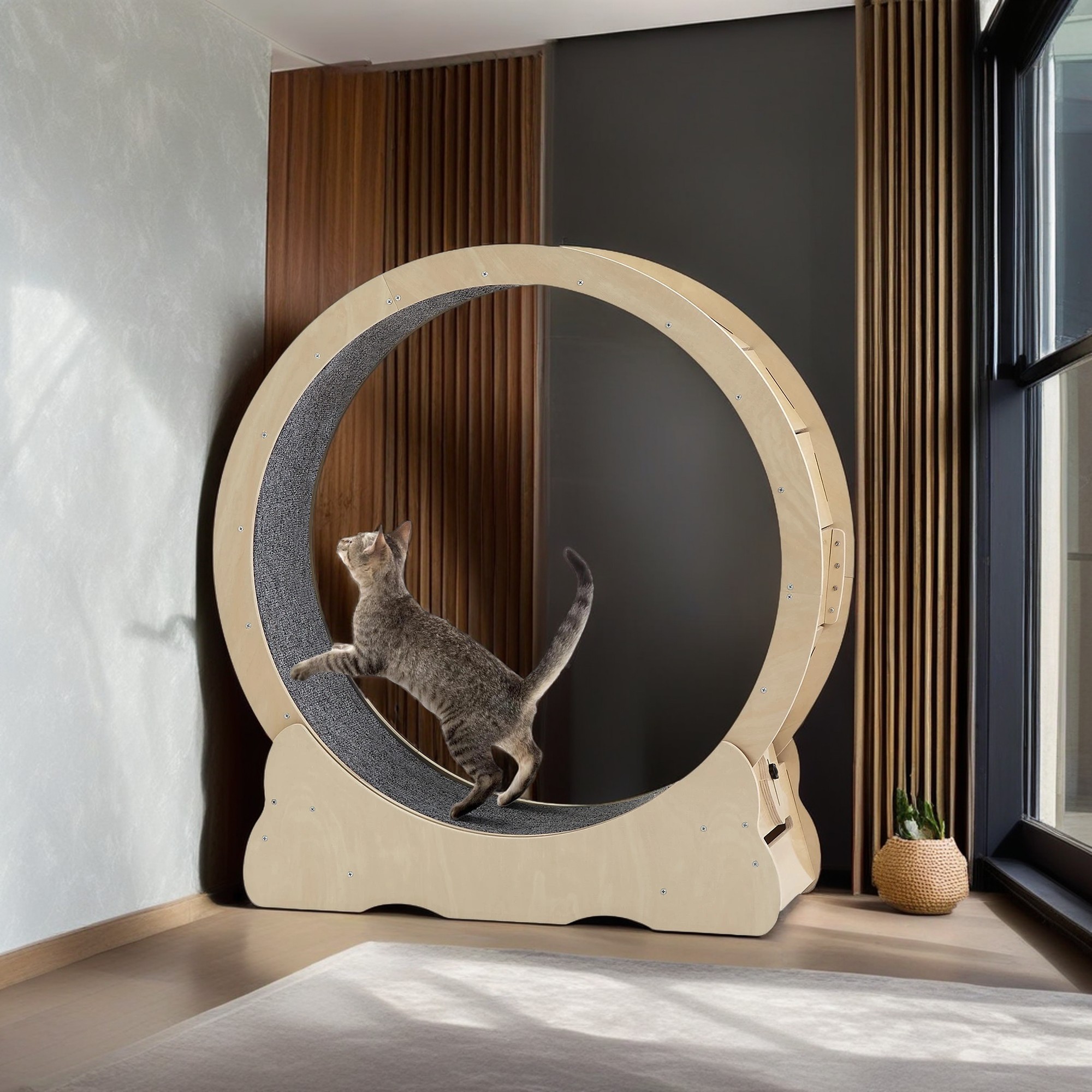 Demi Bonn 43" Cat Exercise Wheel for Indoor Cats, Cat Running Wheel ...