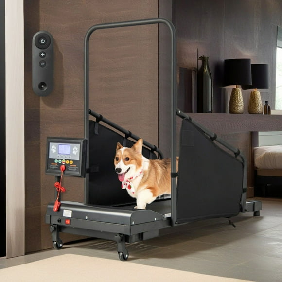 Dog Treadmills in Dogs - Walmart.com