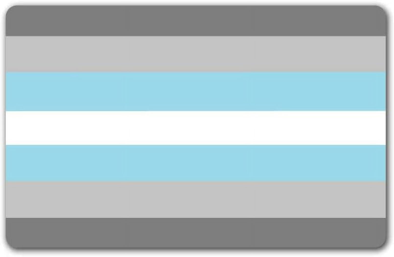 Demiboy LGBTQIA+ Pride Flag 8 inch Full Color Static Window Cling ...