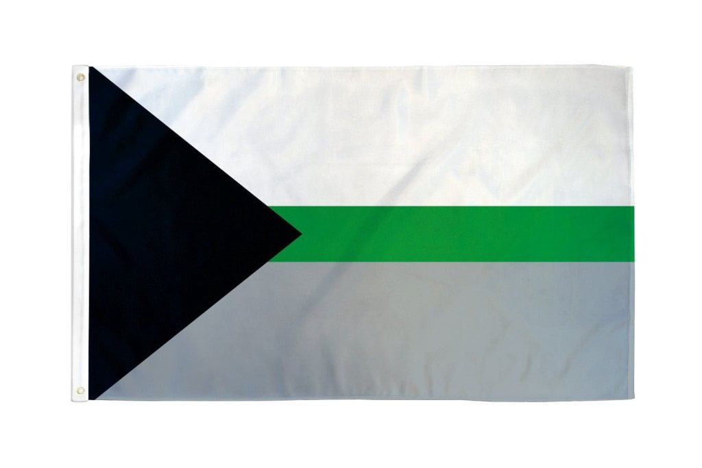 Demiromantic Flag 3x5ft Poly - Walmart.com
