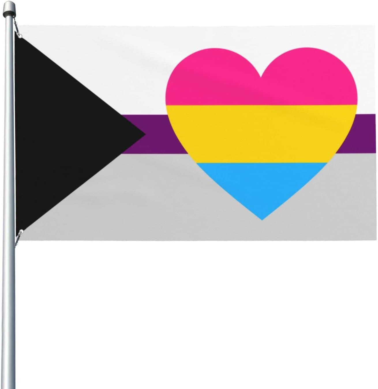Demisexual Pansexual Pan Pride Flag Welcome Party Outdoor Outside ...