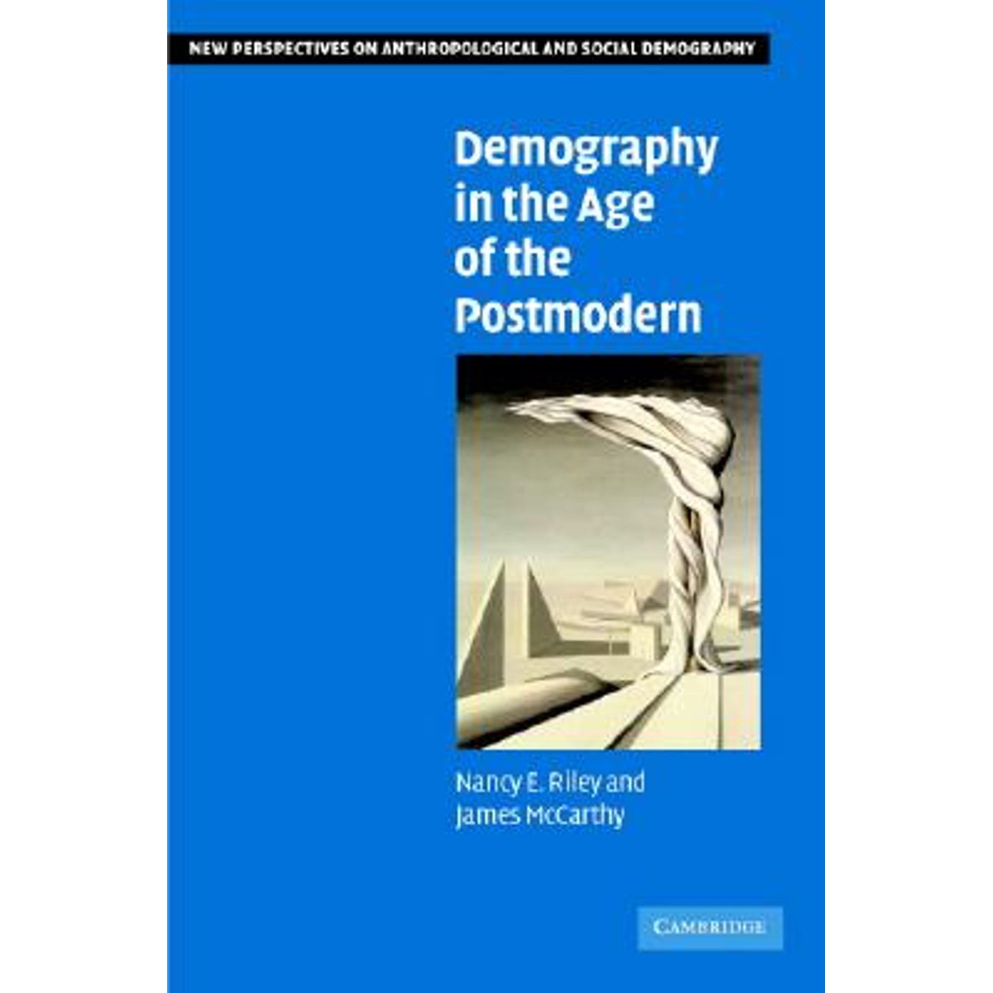 Pre-Owned Demography in the Age of the Postmodern (Hardcover ...