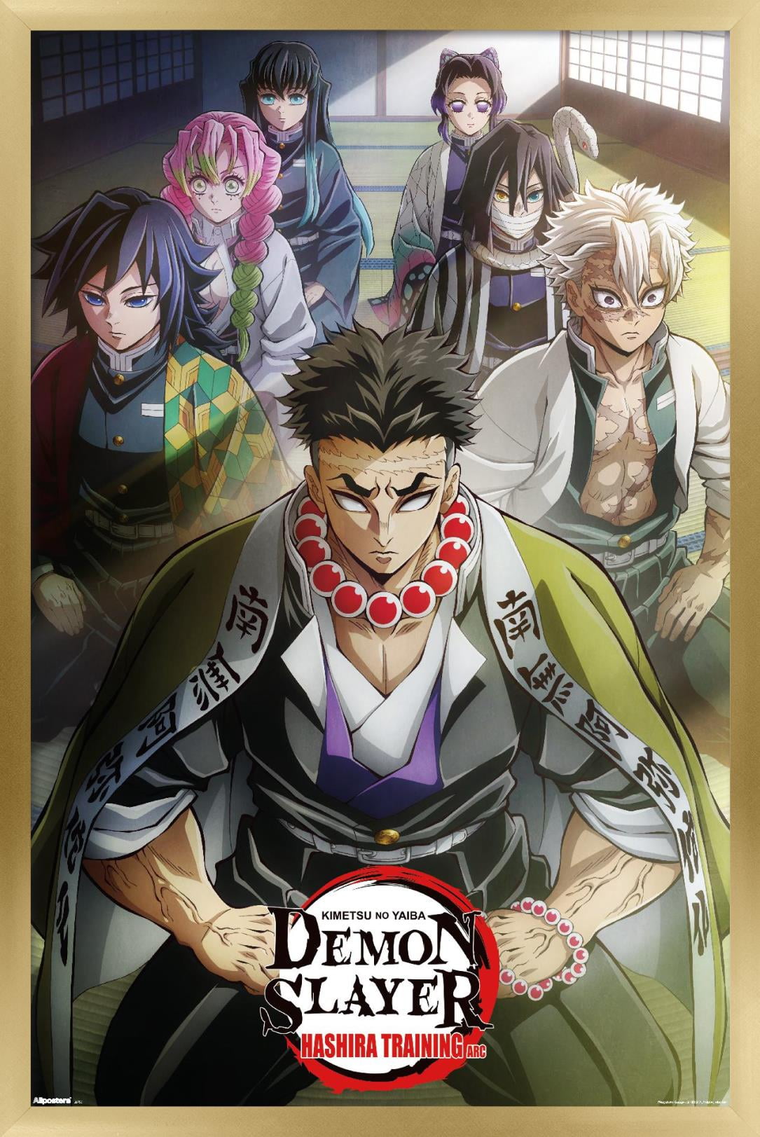 Demon Slayer: Hashira Training - Key Art 1 Wall Poster, 22.375" x 34 ...