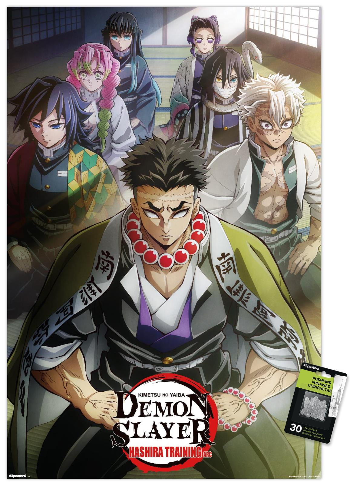 Demon Slayer: Hashira Training - Key Art 1 Wall Poster with Push Pins ...
