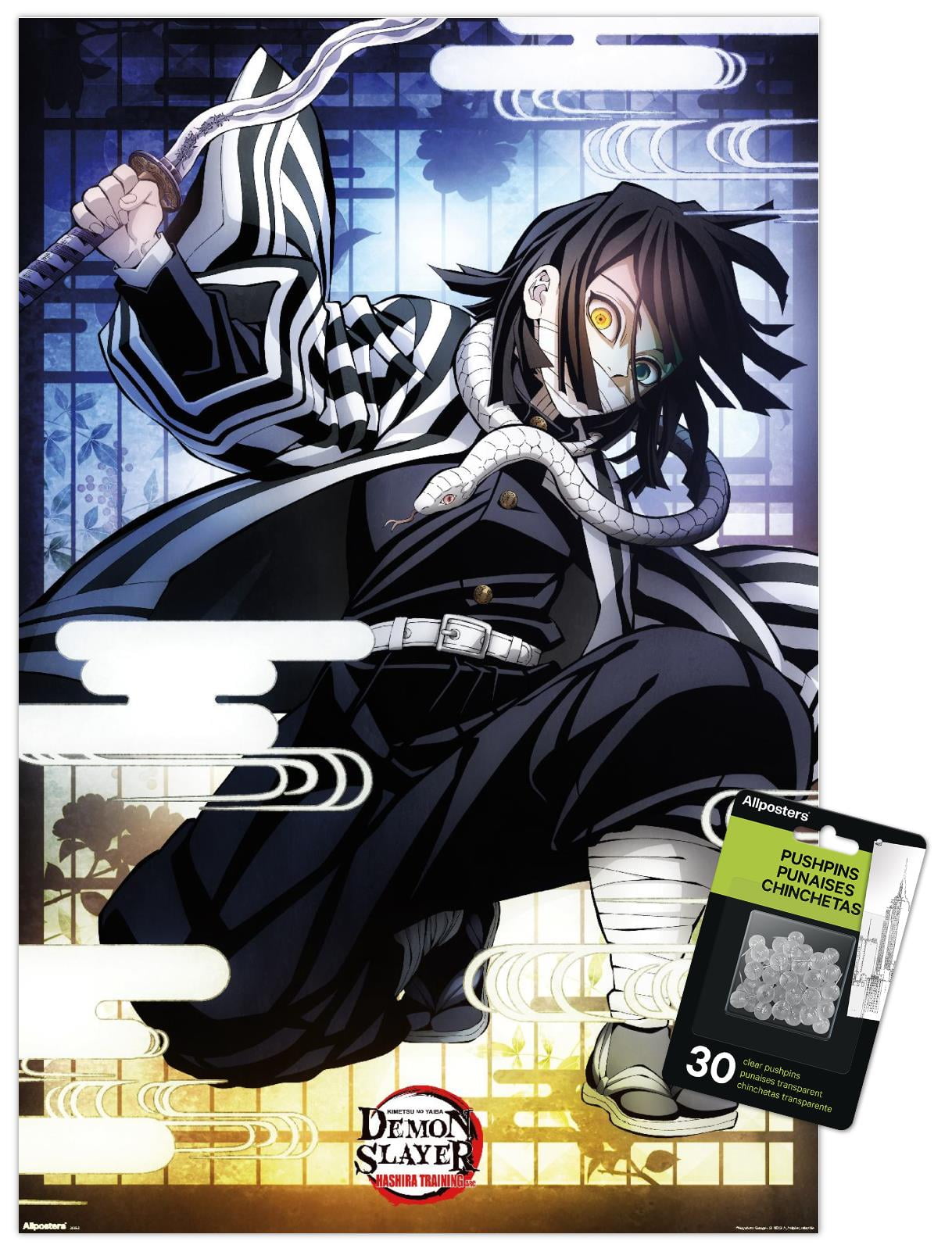 Demon Slayer: Hashira Training - Obanai Wall Poster with Push Pins, 14. ...