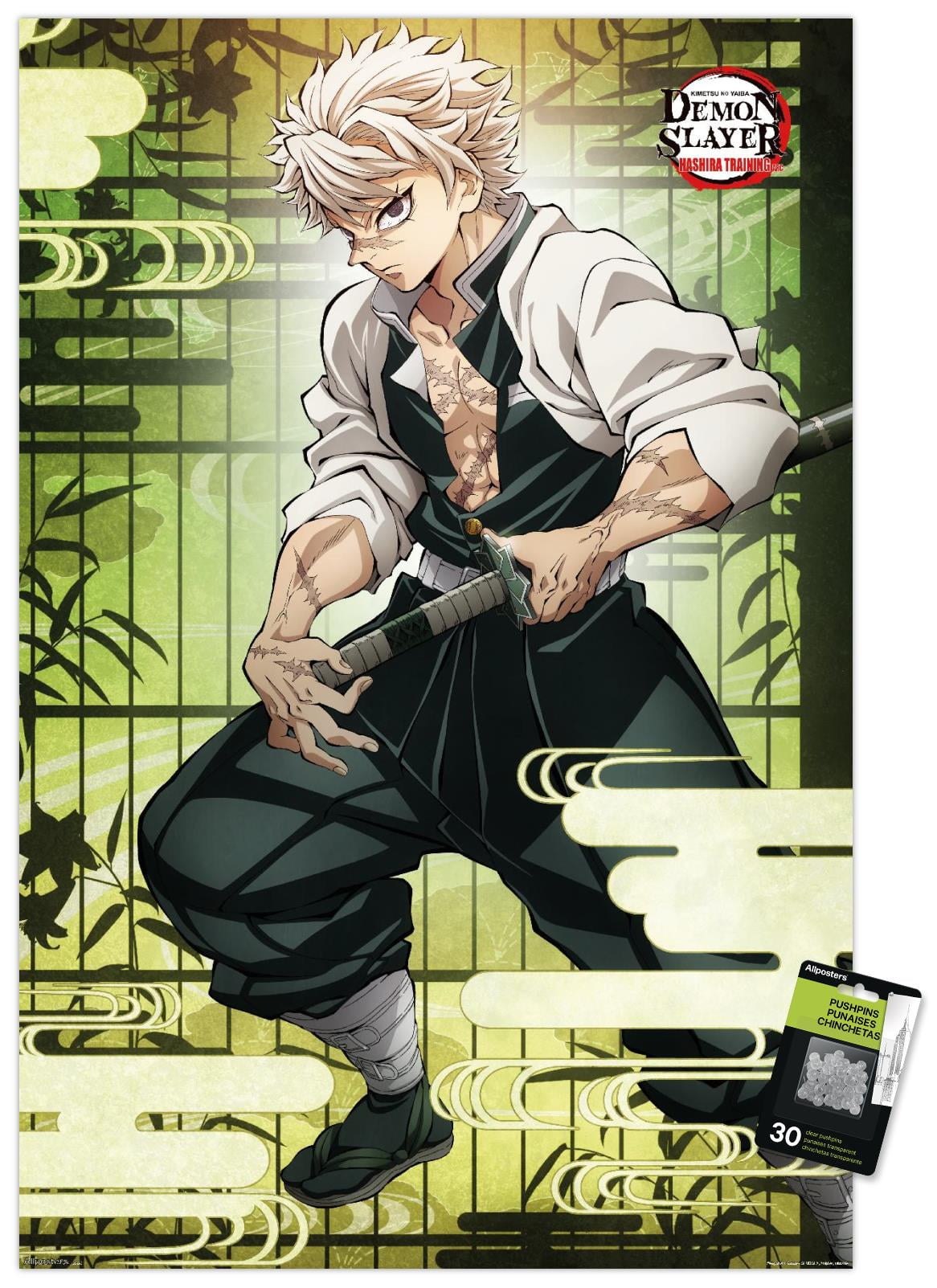 Demon Slayer: Hashira Training - Sanemi Wall Poster with Pushpins, 22. ...
