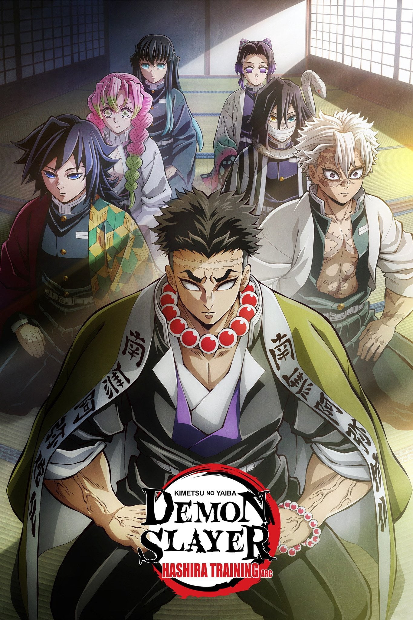 Demon Slayer: Kimetsu no Yaiba Season 5 DVD - Animation, Action ...