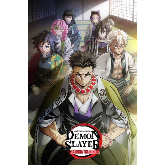 Demon Slayer: Kimetsu no Yaiba Season 5 DVD - Animation, Action ...