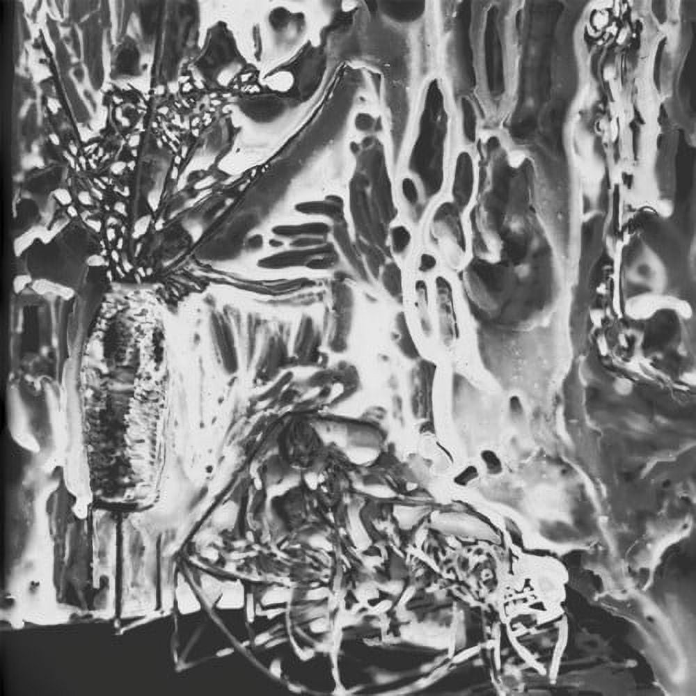 Demons - Evocation - Punk Rock - CD - Walmart.com Demons - Evocation - Punk Rock - CD - Walmart.com