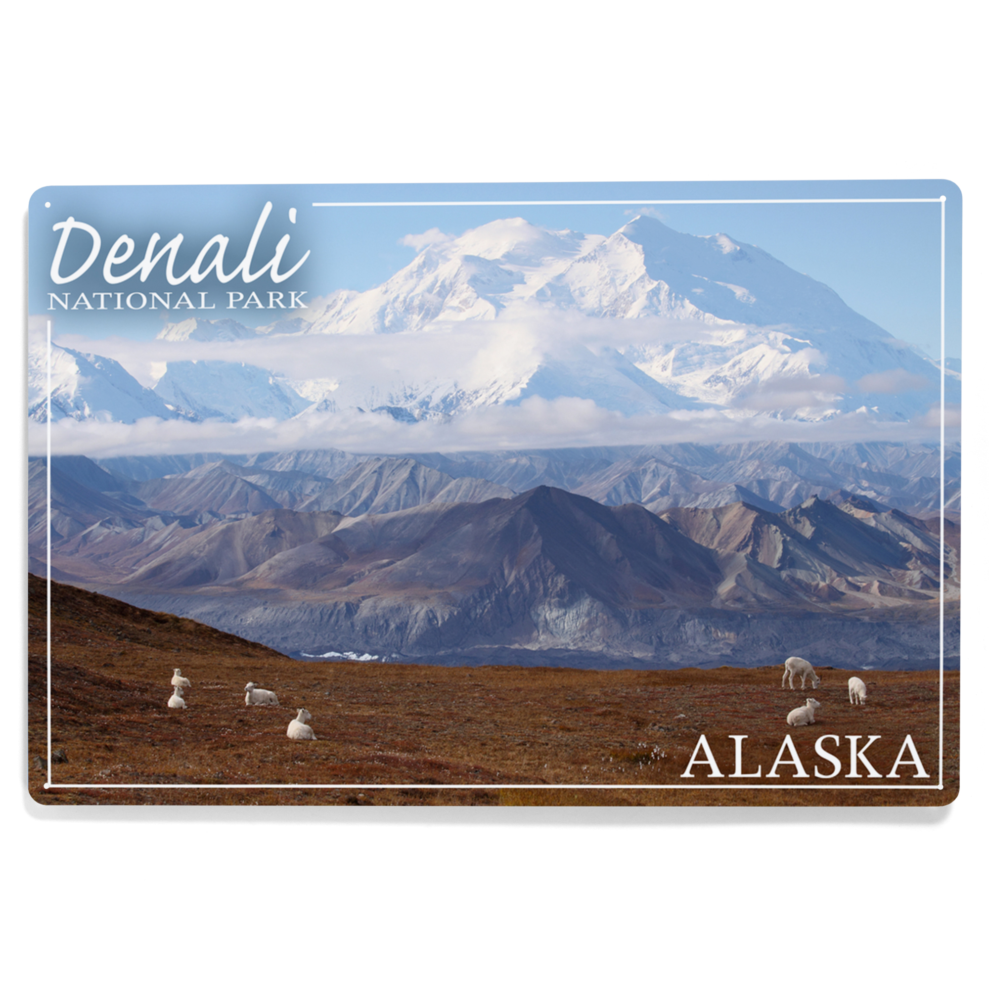 Denali National Park, Alaska, Denali and Goats (12x18 Aluminum Art ...