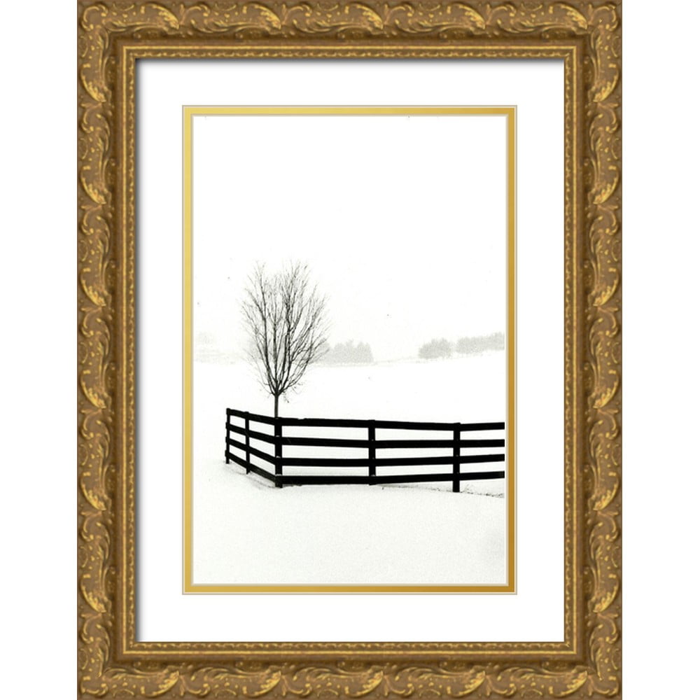 Denardo, Laura 11x14 Gold Ornate Wood Framed with Double Matting Museum ...