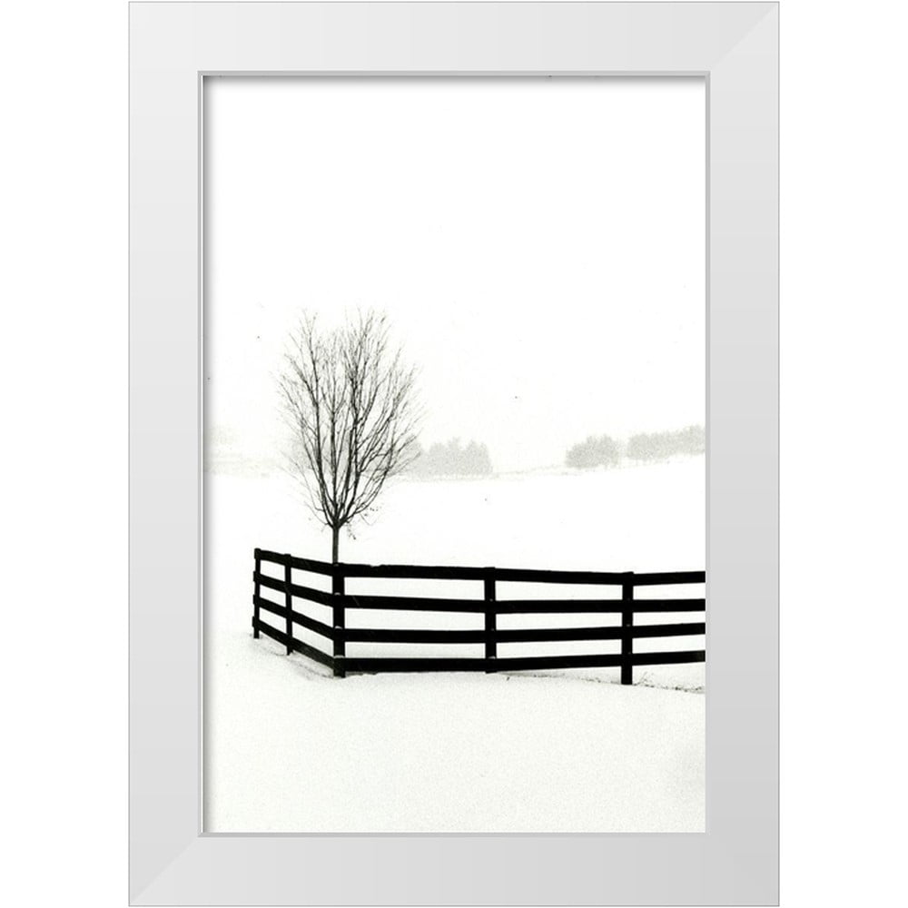 Denardo, Laura 11x14 White Modern Wood Framed Museum Art Print Titled ...